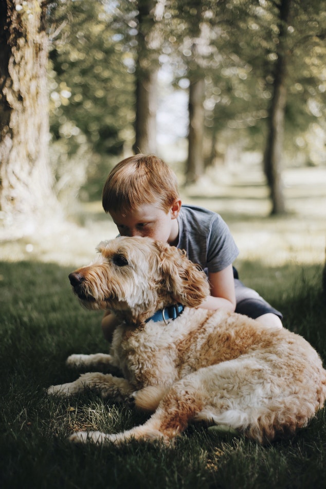 Child safety around dogs - Very Important Pets
