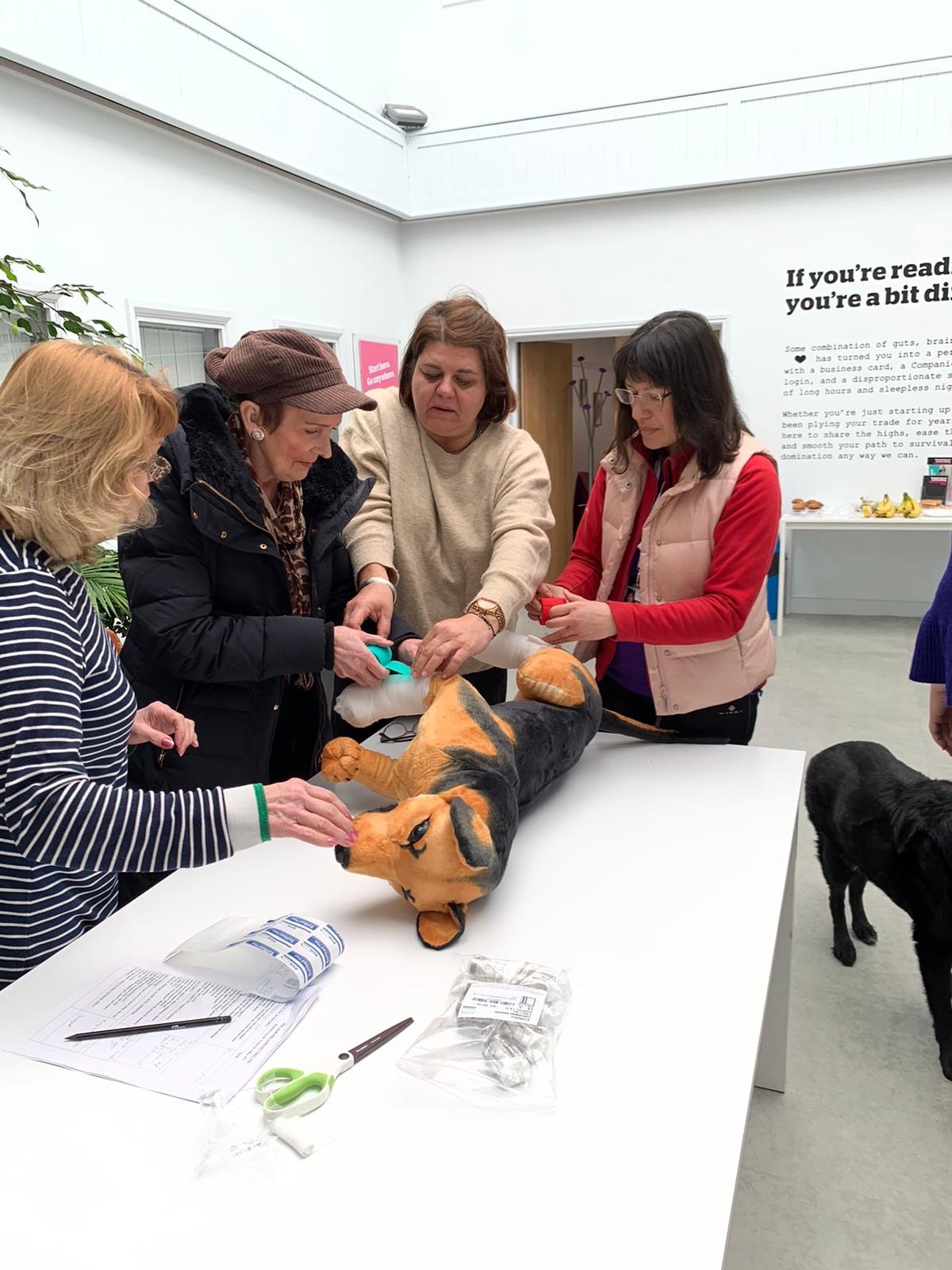 Pet First Aid Seminars - Very Important Pets UK