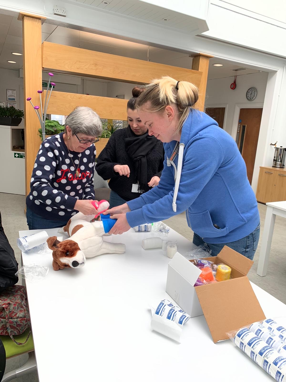 Pet First Aid Seminars - Very Important Pets UK