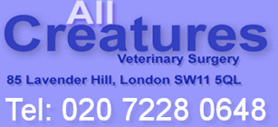 All Creatures Veterinary Surgery - Very Important Pets