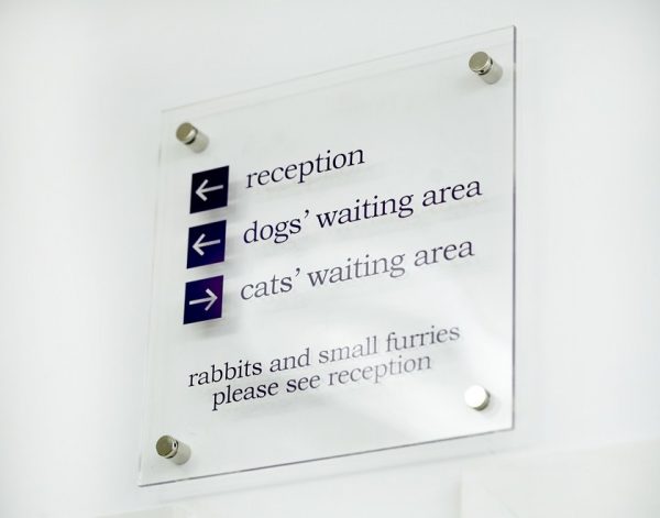 Molly & Max Veterinary Practice - Very Important Pets