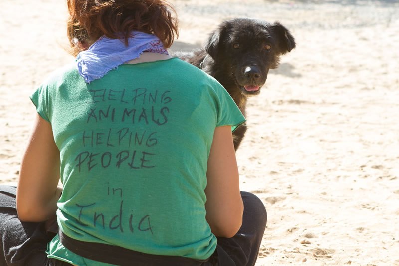 Supported Charities - Very Important Pets